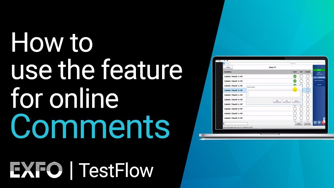 How to use the feature for online comments | TestFlow - YouTube