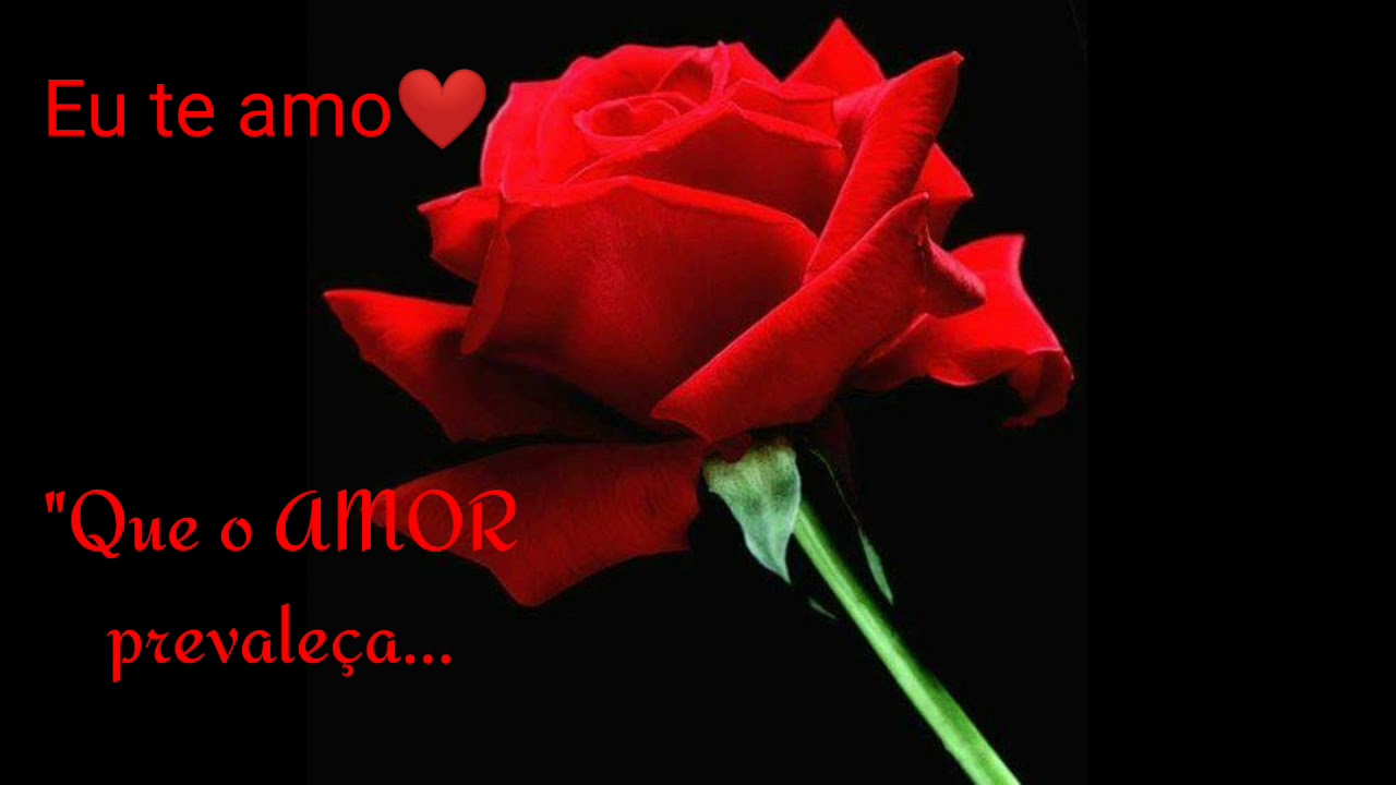 EU TE AMO!🅴🆄 🆃🅴 🅰🅼🅾 - YouTube