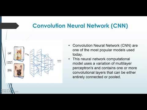 Neural Networks in Deep Learning (ANN ,CNN ,RNN ) And ReLU Activation - YouTube