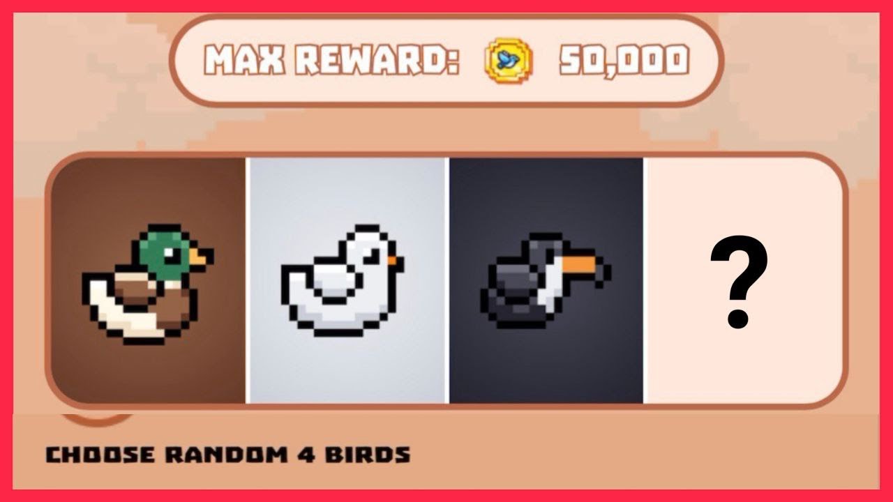 Bird Daily Combo Today 17 February | Bird Combo Today | Daily Combo ...