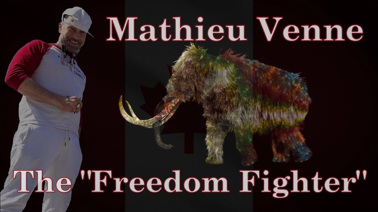Mathieu Venne, The Freedom Fighter who became a FREE DUMB when he acted ...