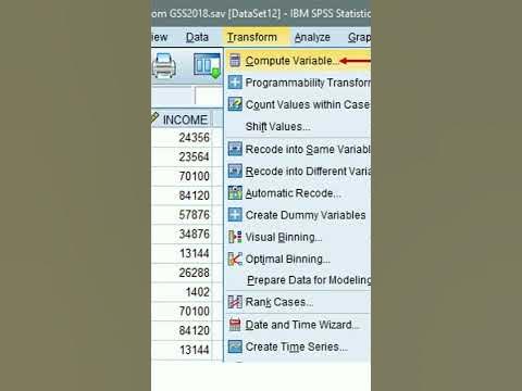 One-Minute SPSS Tutorial: How to Transform Variables - YouTube