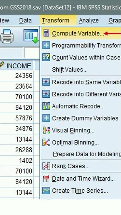 One-Minute SPSS Tutorial: How to Transform Variables - YouTube