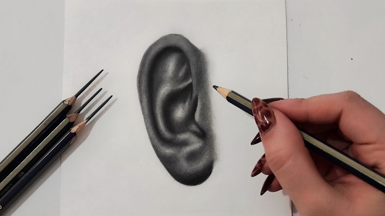 Realistic Ear Drawing ️ | Graphite Pencil Shading - YouTube