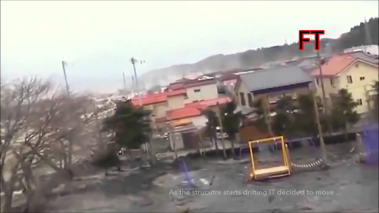 Weirdest Creatures #1| During Japan Tsunami a strange creature was ...