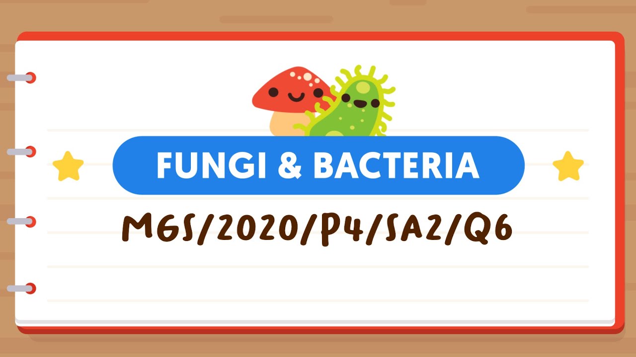 PSLE SCIENCE MADE SIMPLE EP153 | Fungi & Bacteria | What Makes A Fungus ...