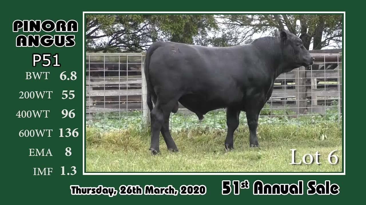 Lot 6 Pinora 2020 - YouTube