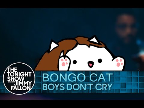 Bongo Cat Band : Boys (or Cats) Don't Cry =^.^= - YouTube