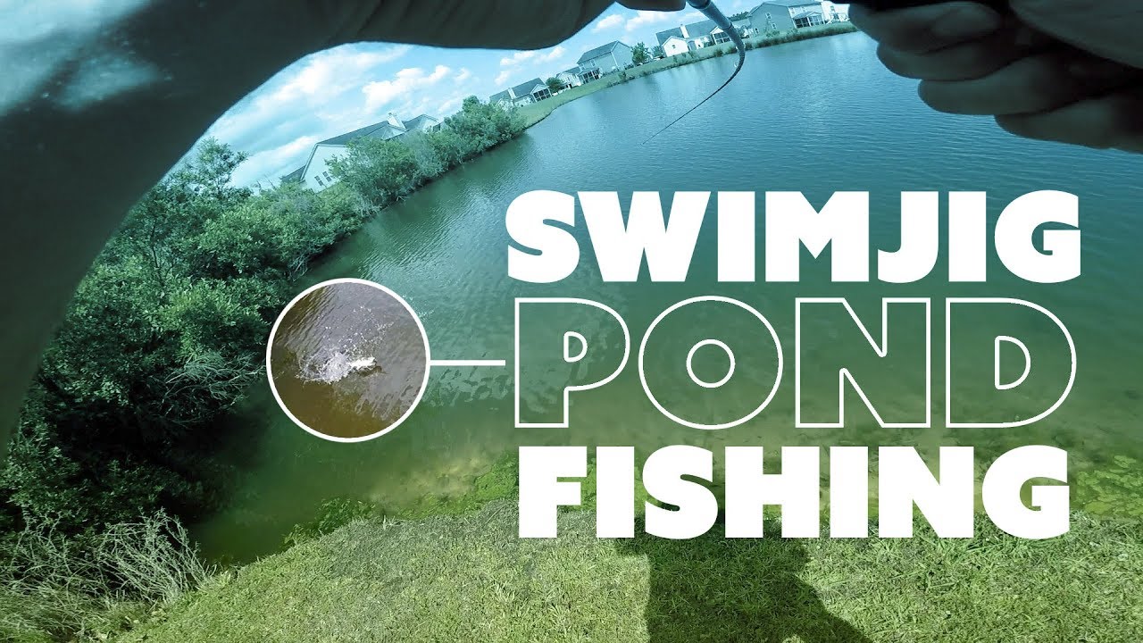 FISHING in My BACKYARD with a Swim Jig - YouTube