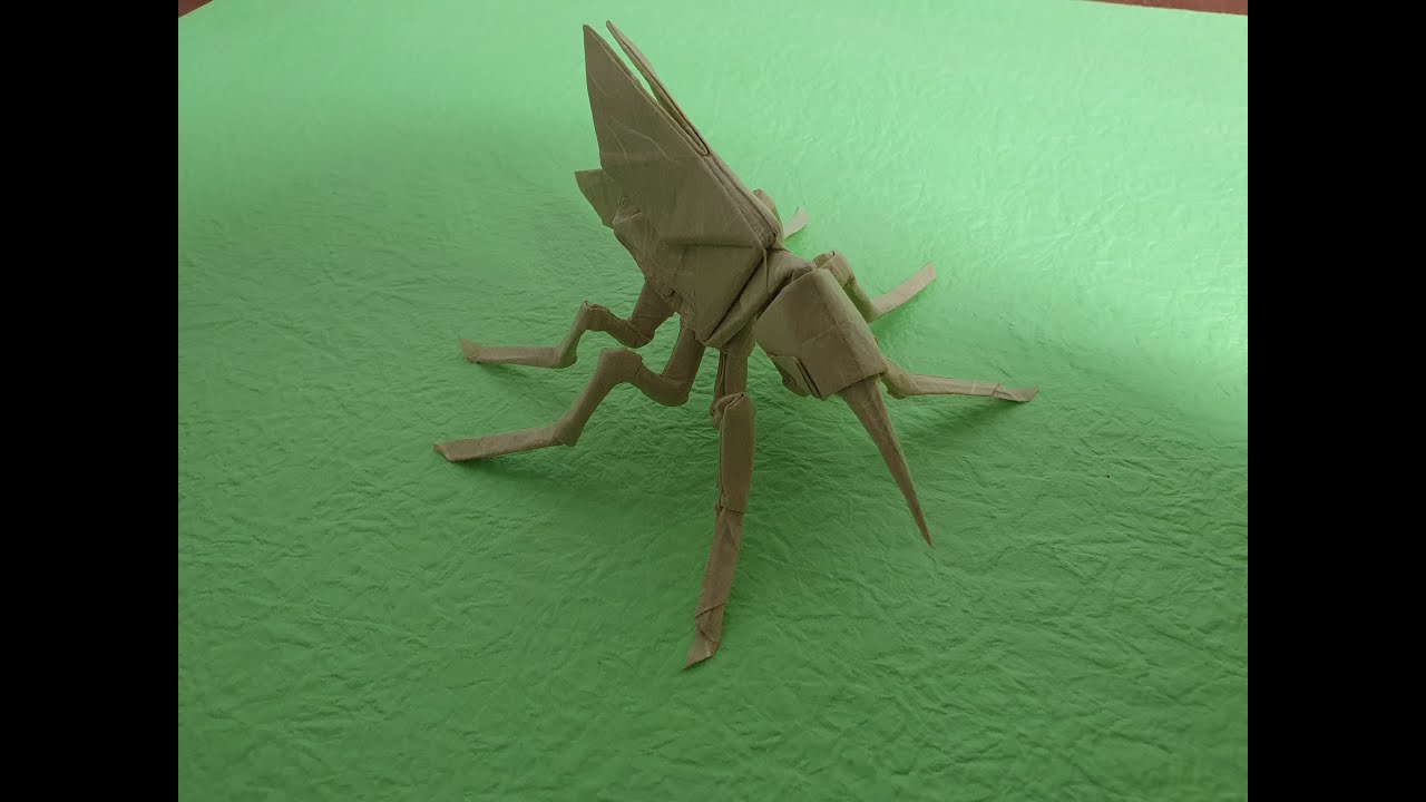 모기 접기(Mosquitoes Origami) - YouTube
