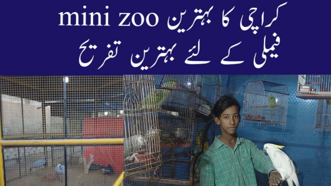 Mini Zoo Karachi | Amusement Park In Karachi | Taleemi Bagh Karachi ...