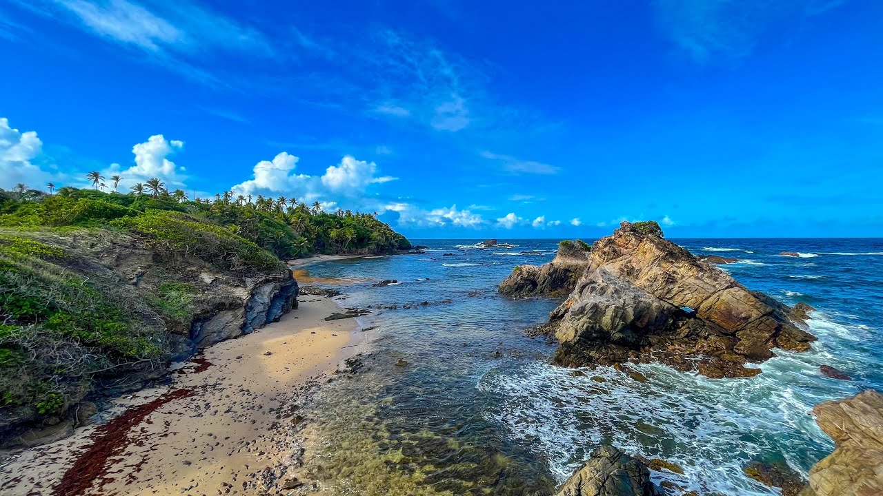 Toco, La Fore't Pt (Expedition) in 4k HDR @teamfitnesstnt #shorts - YouTube