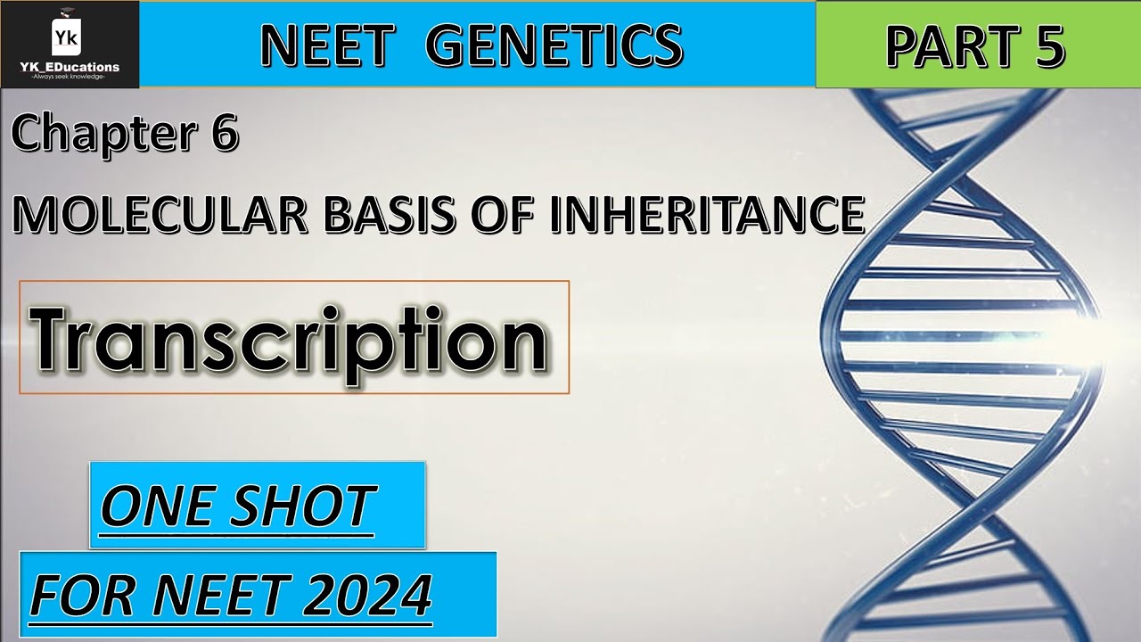 Translation ll Part :- 5 || NEET 2024 || All concepts , tricks - YouTube