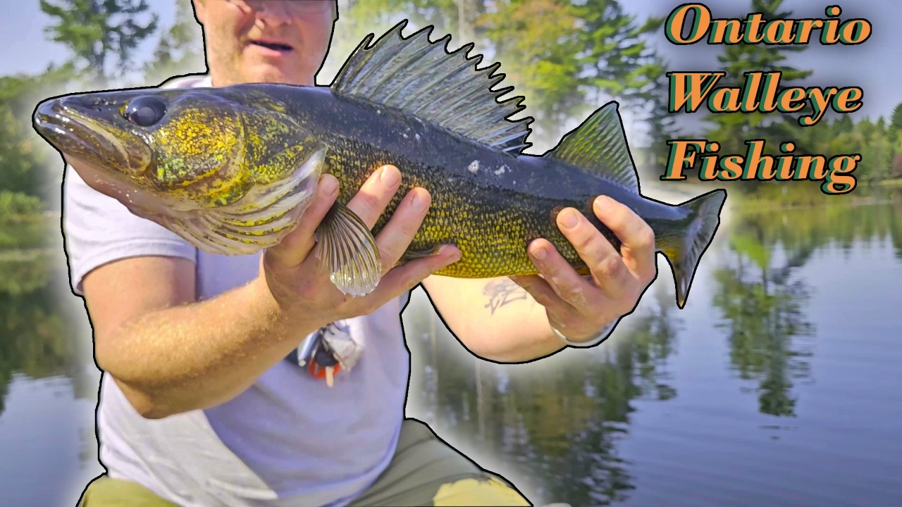 Walleye Fishing in this Northern Ontario Back Country Lake - YouTube