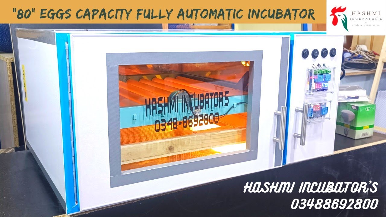 Detail Video Of "80" Eggs Capacity Fully Automatic F/S Incubator's # ...