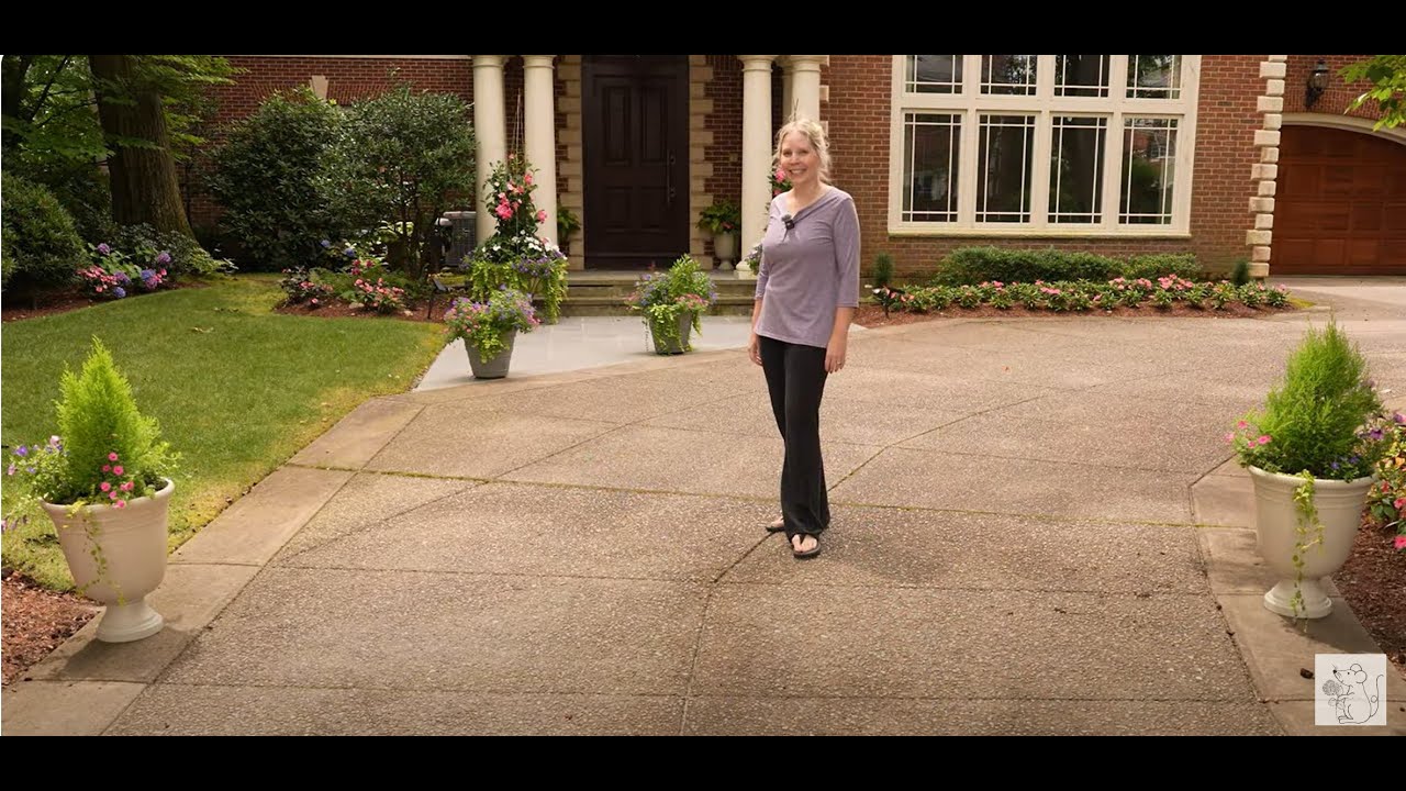 Sun Urns using Lemon Cypress and Proven Winner annuals - YouTube