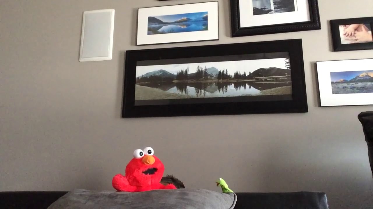 Kermit the Frog and Elmo - YouTube