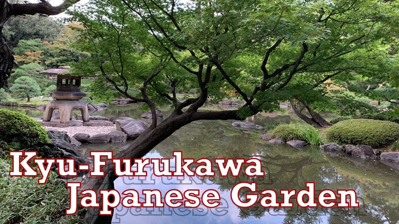 2pm Japan Walk Kyu-Furukawa Japanese & Rose Gardens Western Flowers ...