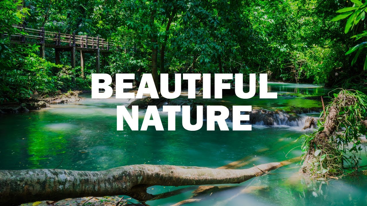 Explore Beautiful Nature - YouTube