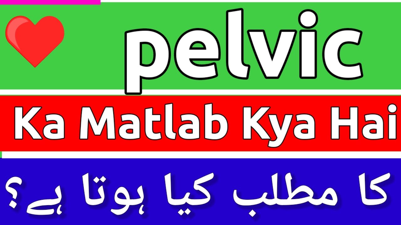 Pelvic Meaning In Urdu | Pelvic Meaning | Pelvic Ka Matlab Kya Hota Hai ...