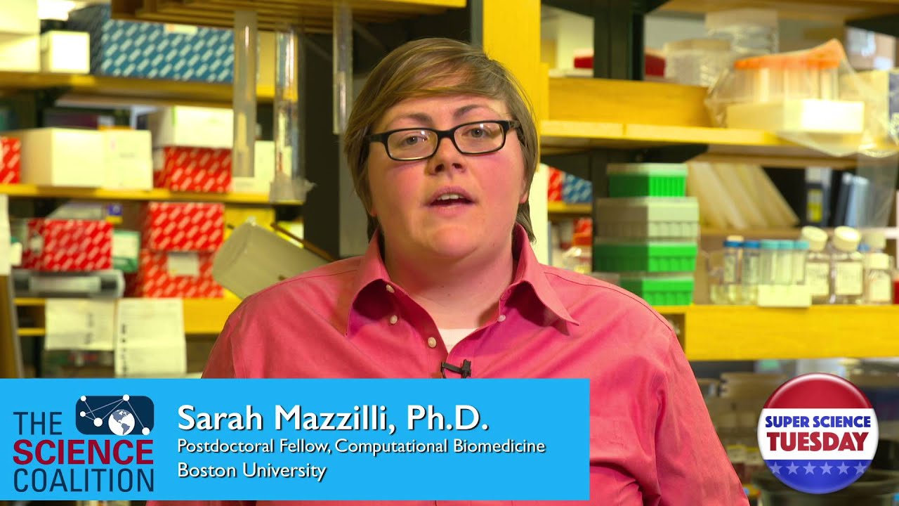 Sarah Mazzilli, Ph.D. Boston University - YouTube