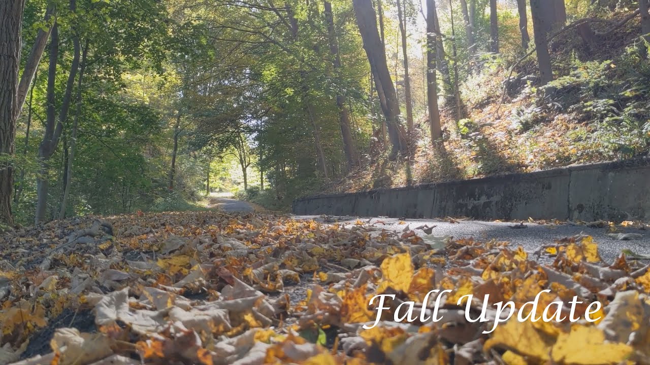 Fall Update! - YouTube