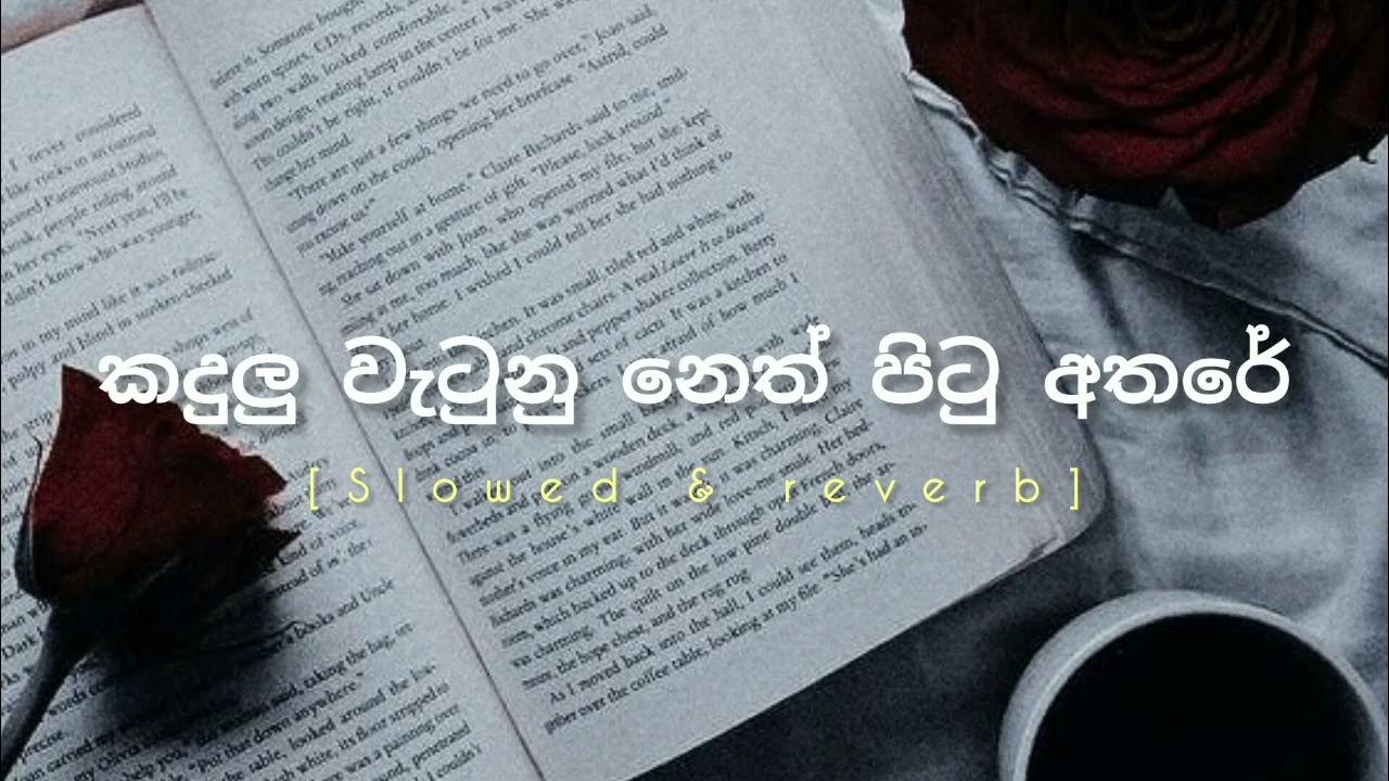 Kadulu Watunu Neth Pitu Athare කදුලු වැටුනු නෙත් පිටු අතරේ [slowed