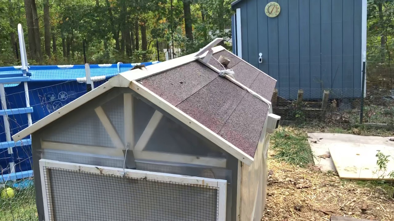 Winterizing the Muscovy Duck Coop - YouTube