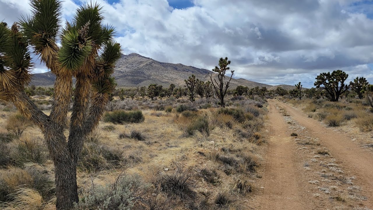 EP97 - The Mojave Desert - Biking in the Desert - Travel and Exercise ...