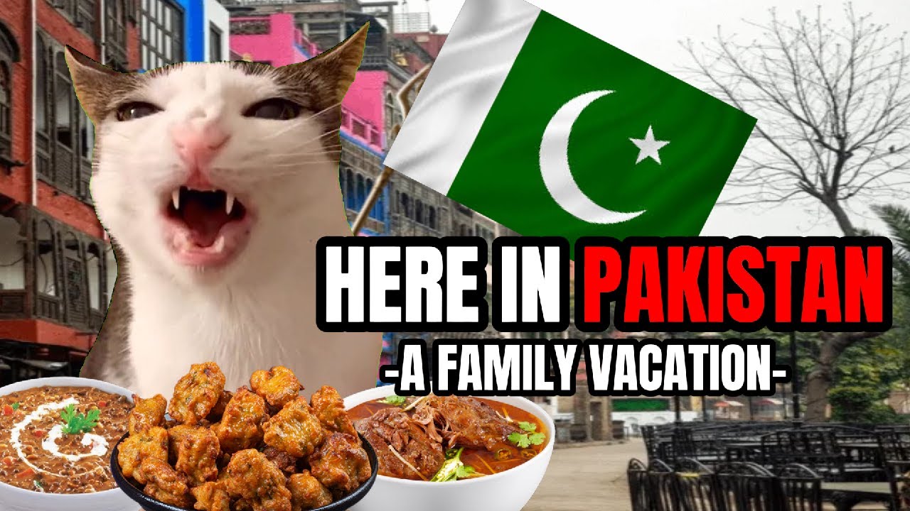 CAT MEMES: HERE IN PAKISTAN - YouTube