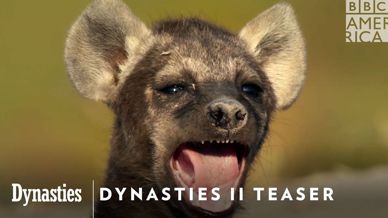 Dynasties II Teaser Trailer | Saturdays on BBC America - YouTube