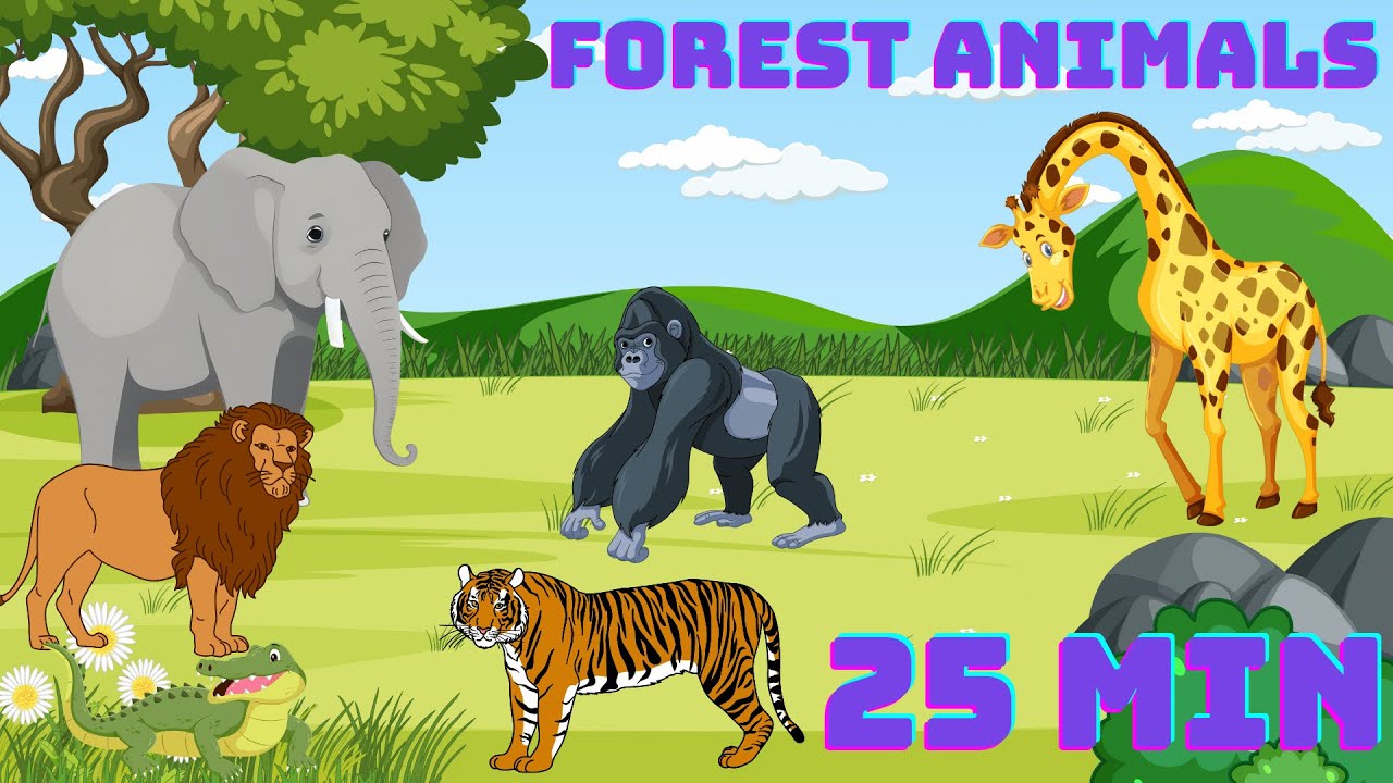 Forest animals for toddlers educational | Animals in the forest | 25 ...