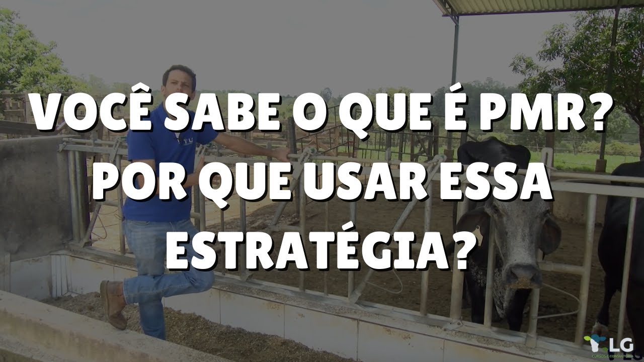 Você sabe o que é PMR e por que usar essa estratégia? - YouTube