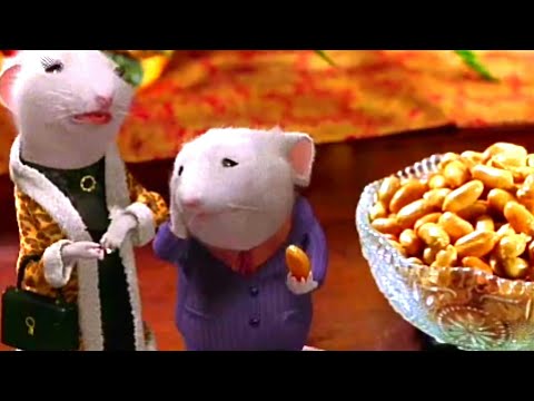 Os Stouts Conversam Com Os Littles | O Pequeno Stuart Little (2000) DUBLADO HD