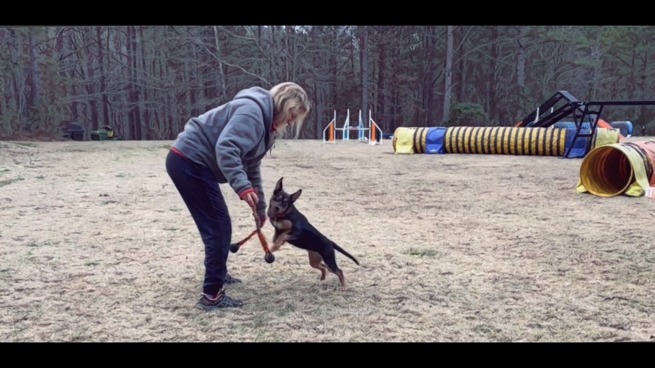 Kestrel Toys | Varied Skills 010922 - YouTube