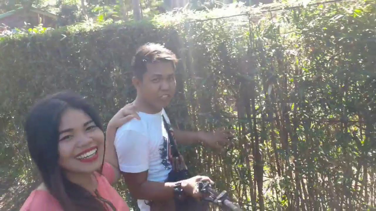 Bamboo Maze @ Eden Nature Park & Resort - YouTube