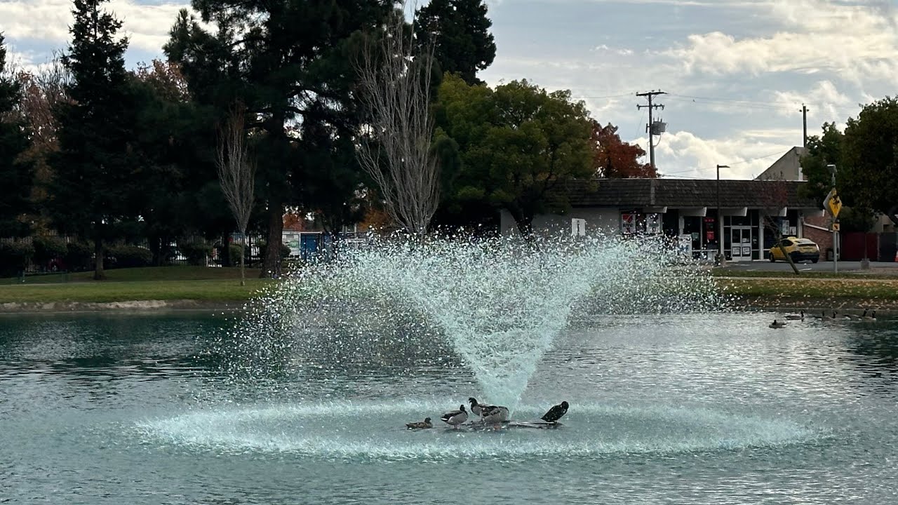 Duck park in my town [ exploring Fairfield Part 1] - YouTube