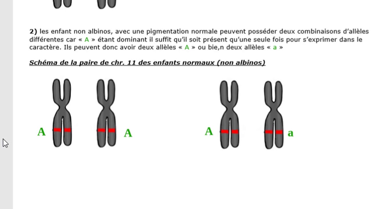 3°_T2_C1_Correction exercices gènes et allèles - YouTube