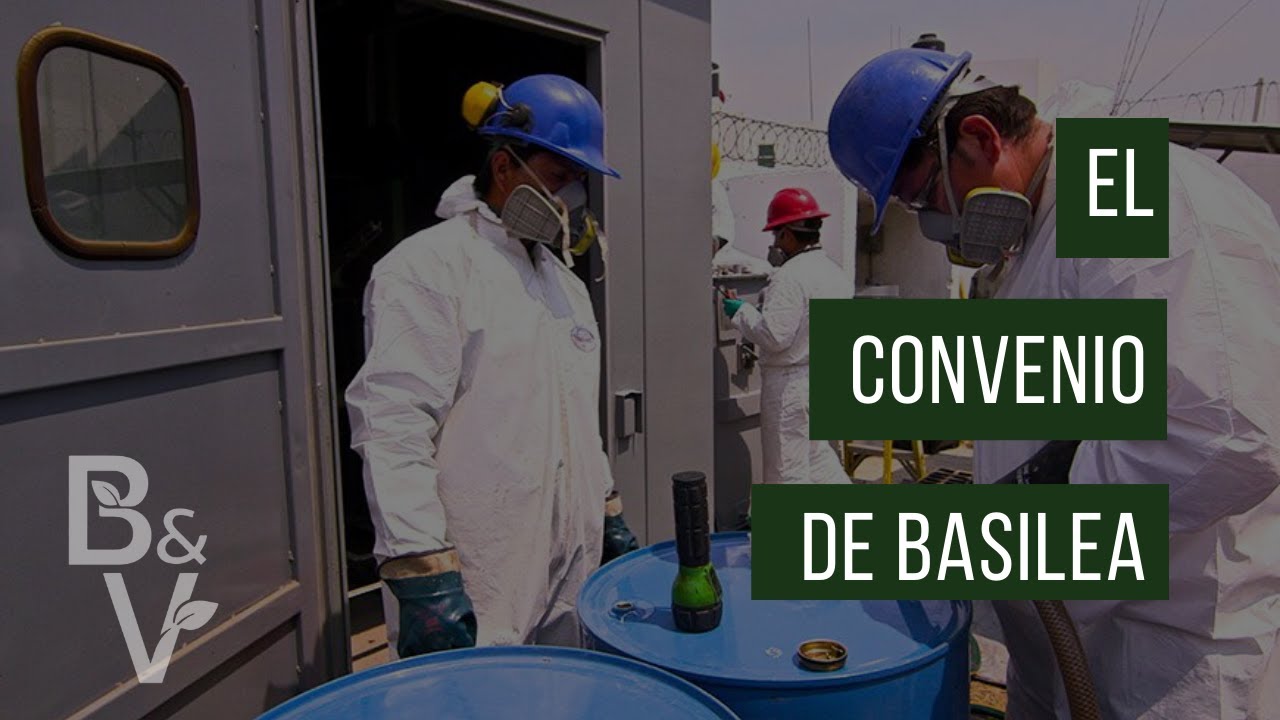 EL CONVENIO DE BASILEA - YouTube