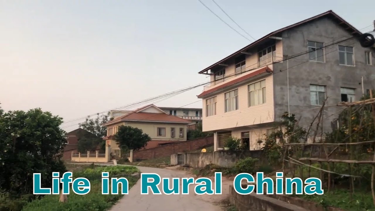 A day in the china countryside - village life in China#countryside ...
