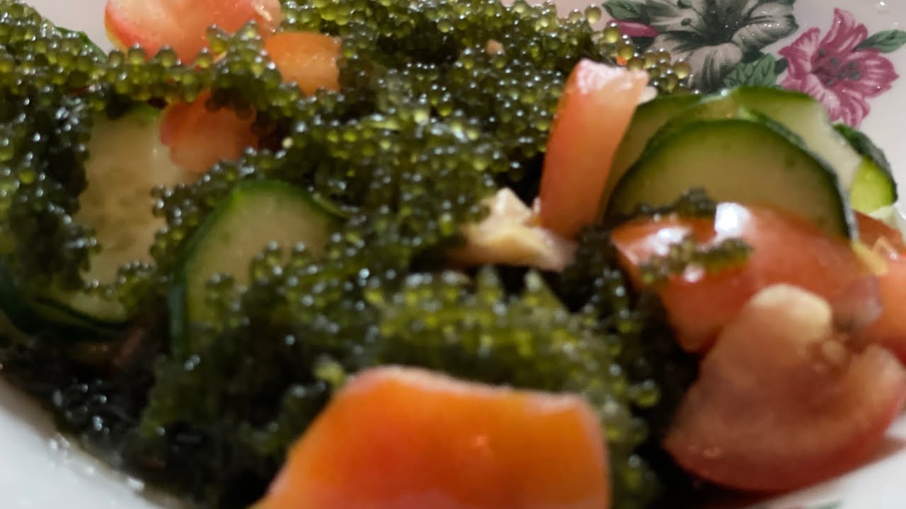 How to prepare Sea Grapes / Green Caviar /Seaweed - YouTube