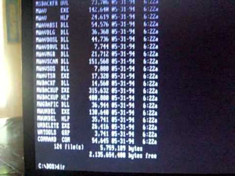 Walker DOS Virus - YouTube