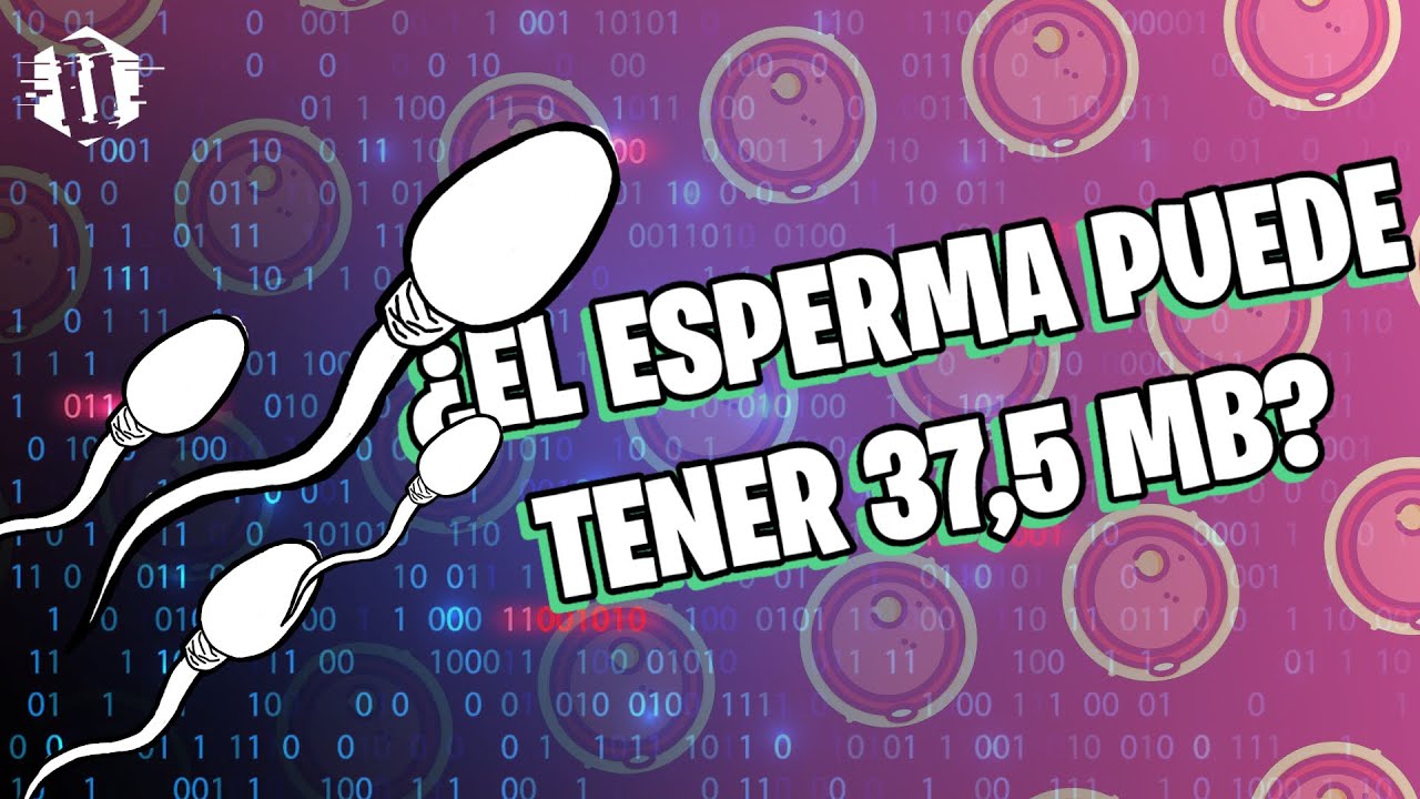 ¿El ESPERMA equivale a 37,5 MB? - YouTube
