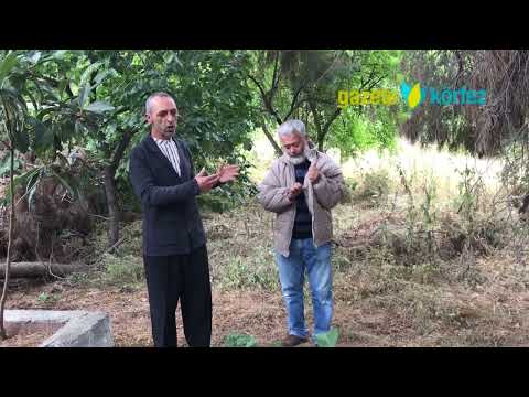 Şehit mezarları sahipsiz bırakıldı iddiası