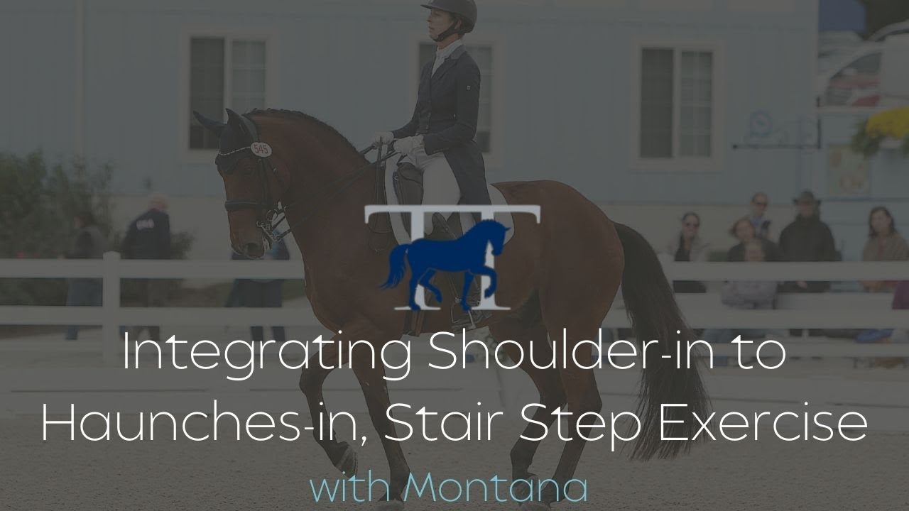 Integrating Shoulder in to Haunches in, Stair Step Exercise with ...