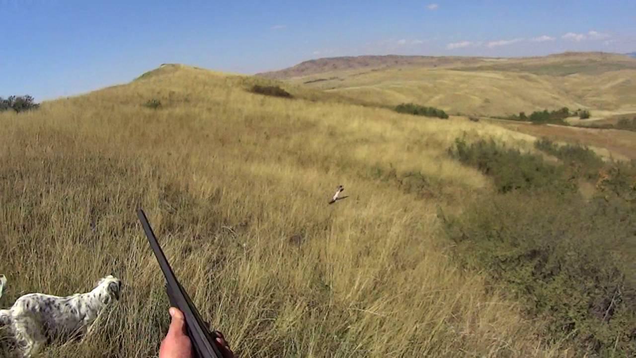 mwyeri 2016 tvis bolo - YouTube