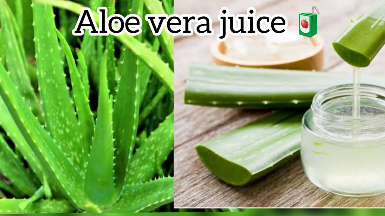 How To Make Aloe Vera Juice At Home🤩 Sachi Jogi Youtube