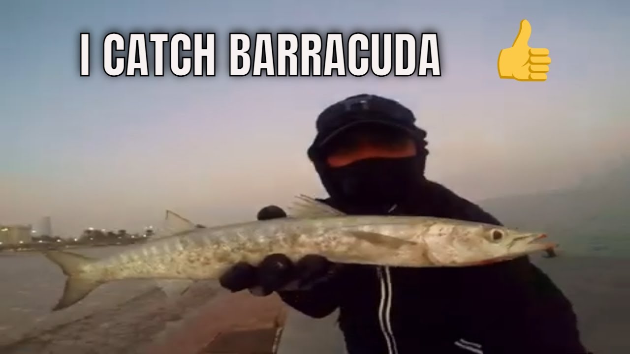 SHORE CASTING USING MEDIUM LIGHT SETUP | SHORE JIGGING | HOW TO CATCH A ...
