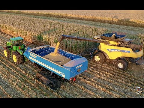 Urbana Illinois CORN HARVEST 2019 - YouTube