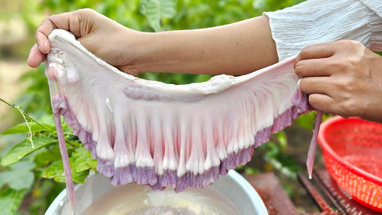 Small intestine of pork with roast ingredients #cooking - YouTube